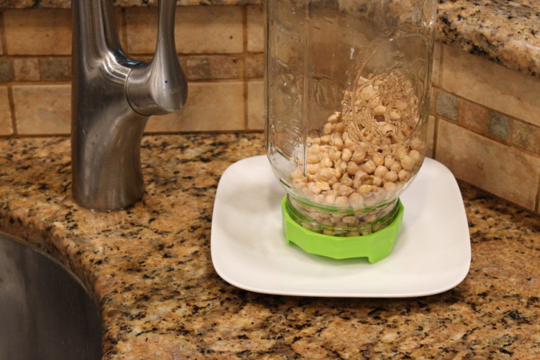 Fermented Chickpea Hummus - My Battle with Lectins - Better Done Yourself